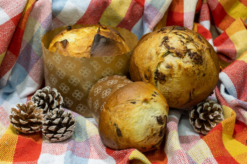 Panetone de frutas secas - E Lá Vamos Nós...